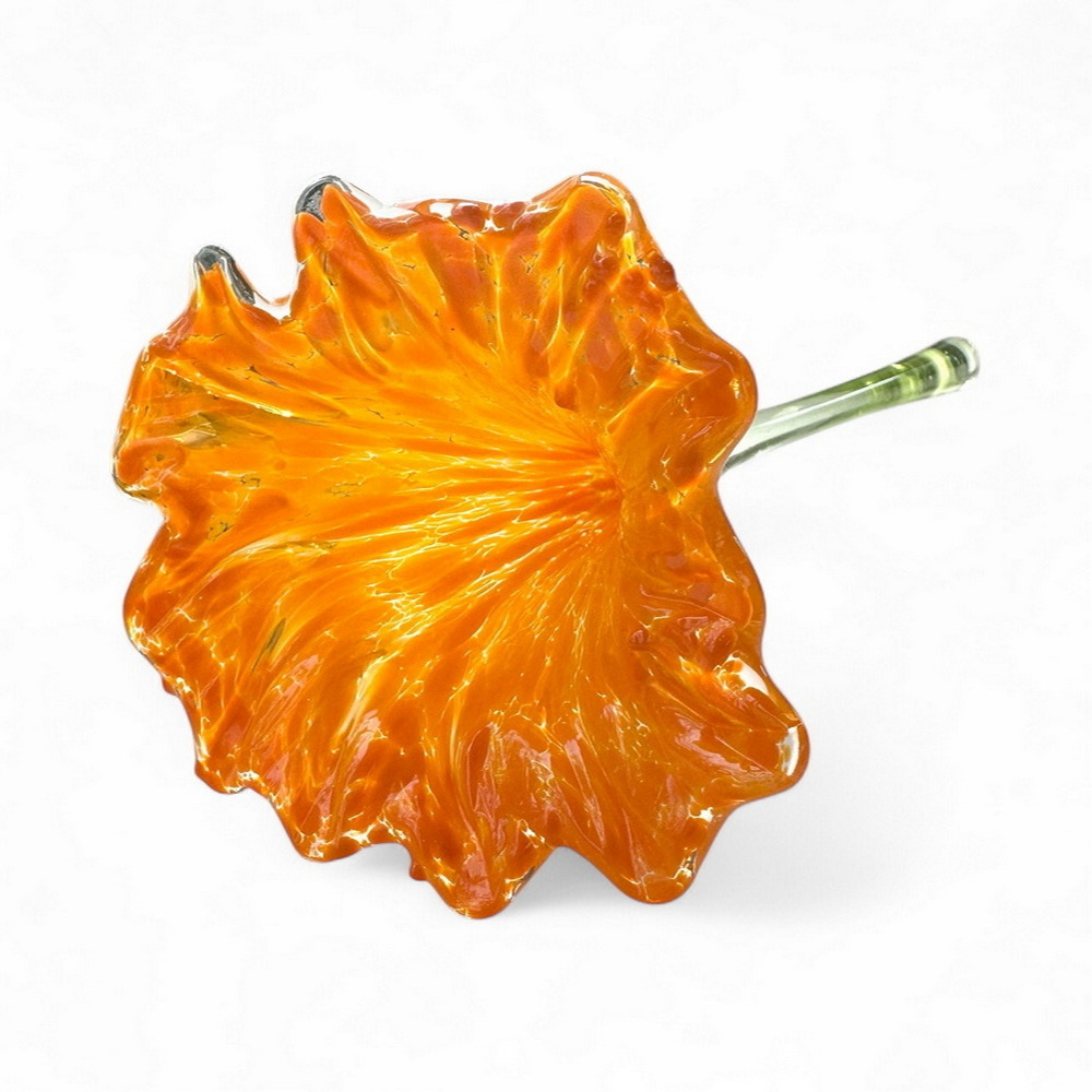 Flowers: Orange Orange Long Stemmed Flower
